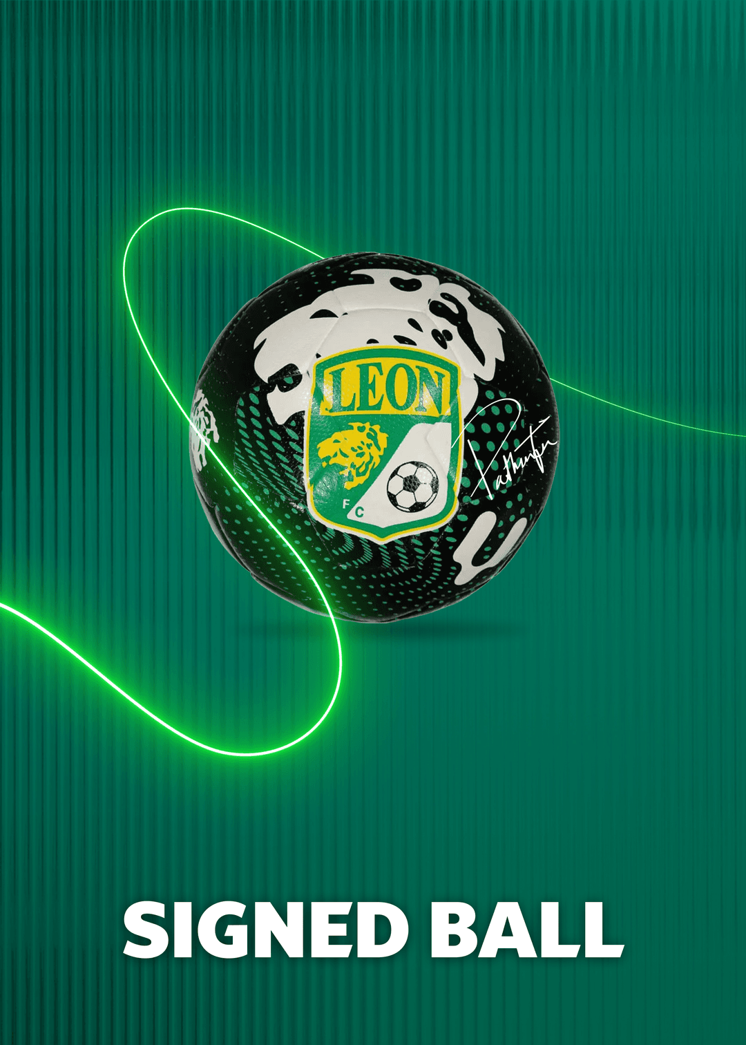 Official Ball - Signed - FIFA Collect